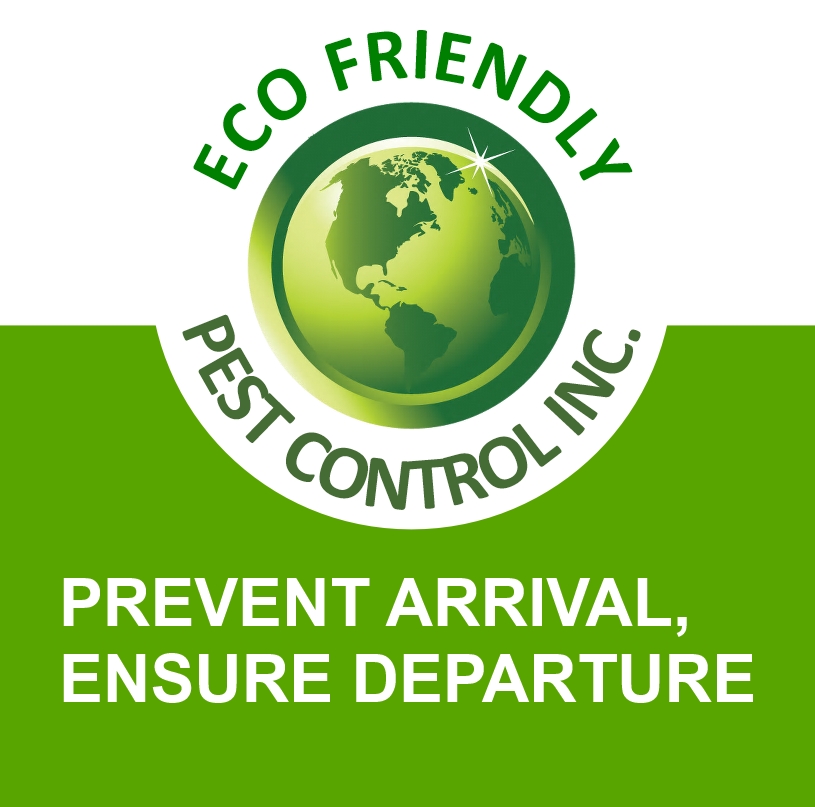 Home [ecofriendlypestcontrol.net]